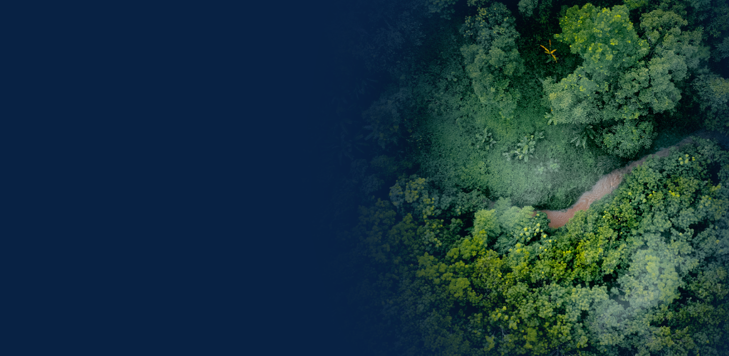Sustainability Commitment
